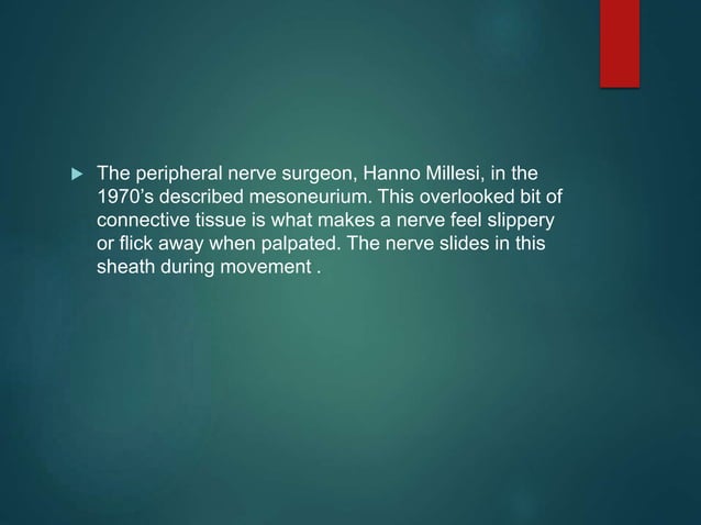 Upper Limb Nerve Anatomy | PPTX | Death, Injury, or Military Conflict ...