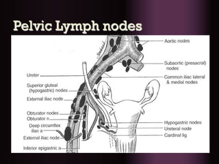 Nerve sparing radiacal hys 1 jan | PDF