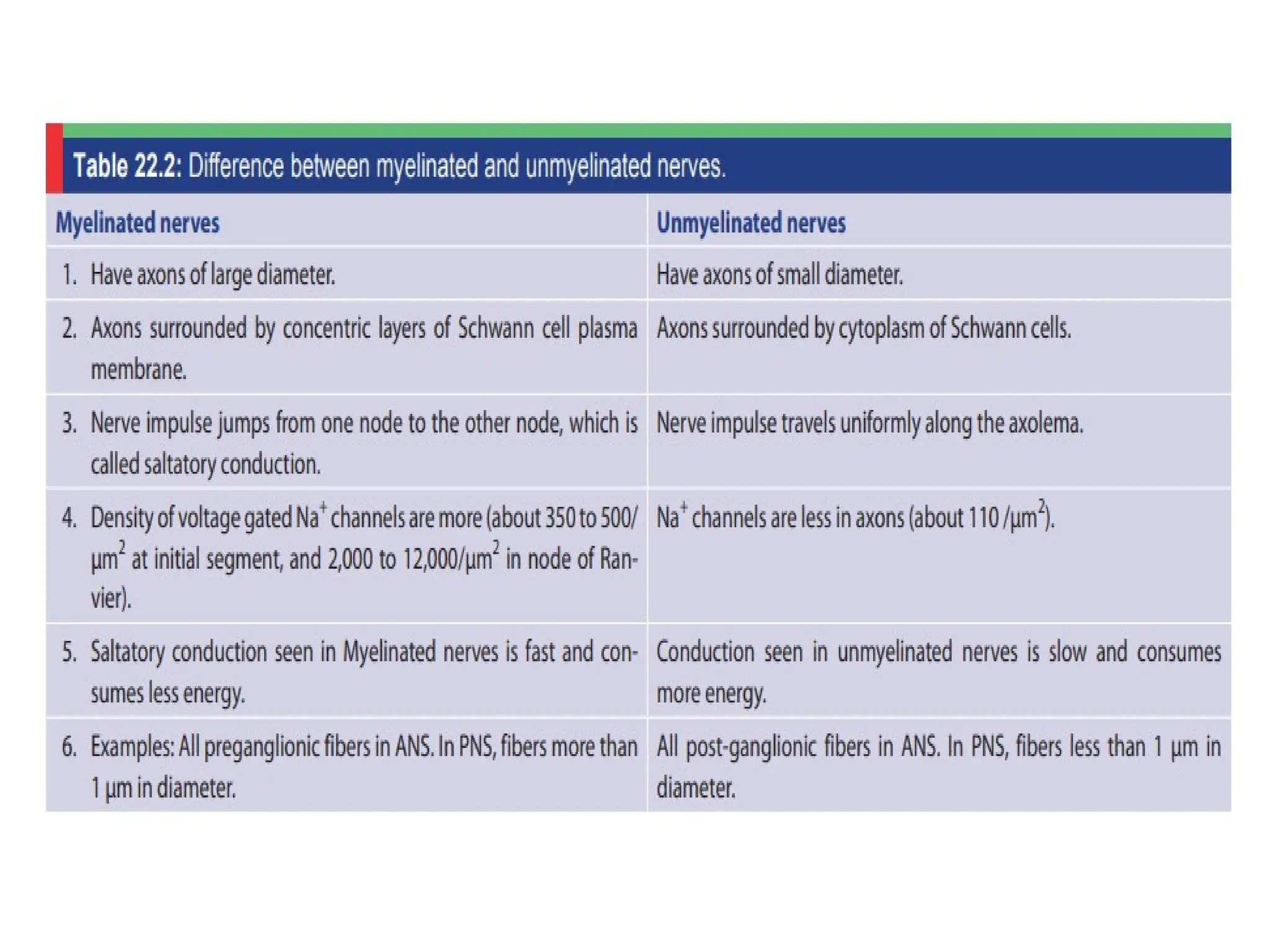 Functional Anatomy Of Nerve Cell Peripheral Nerve Classification Pptx