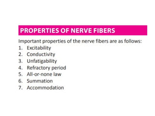 functional anatomy of nerve cell, peripheral nerve, classification.pptx