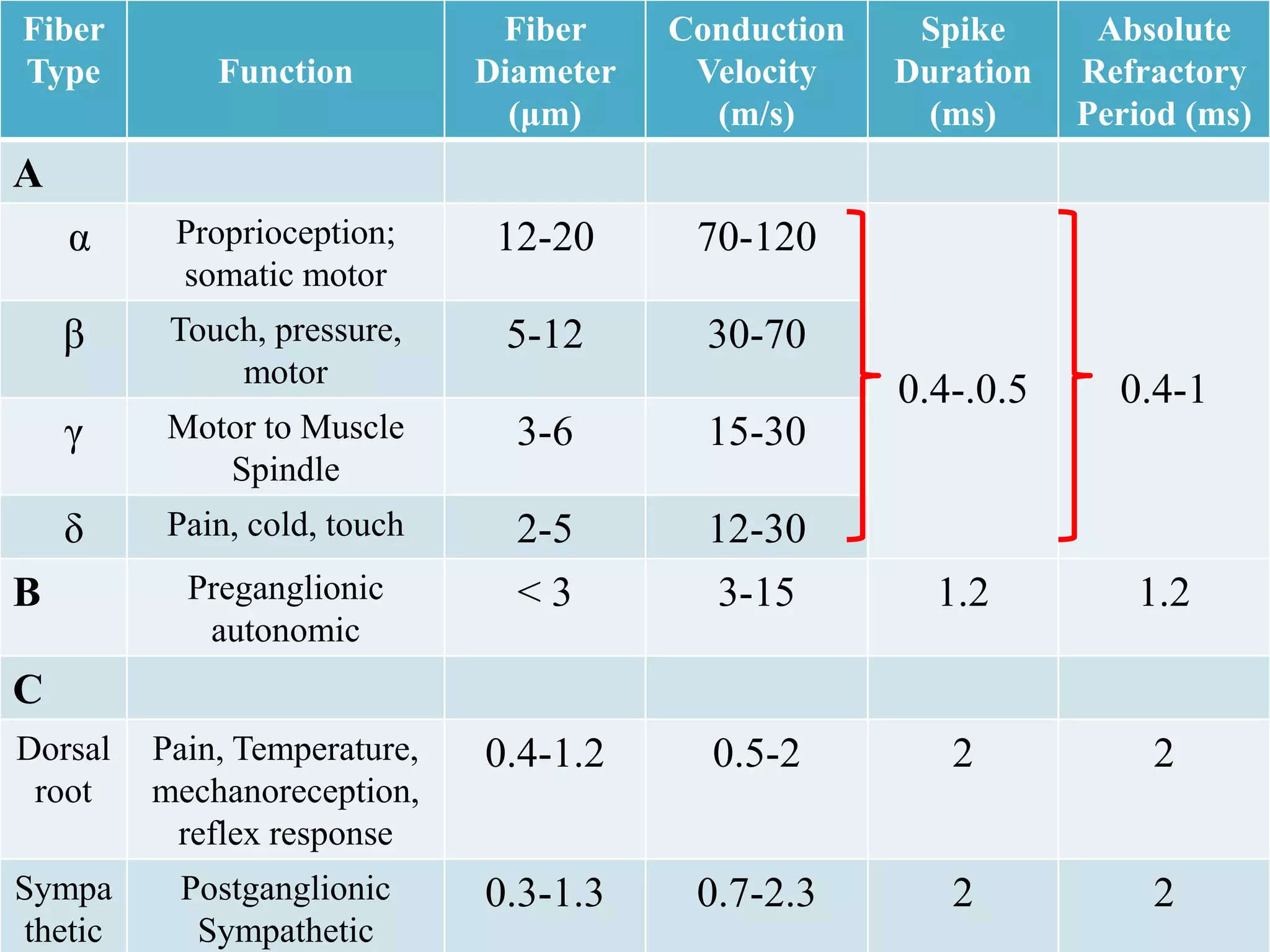 Nerve classification | PPTX