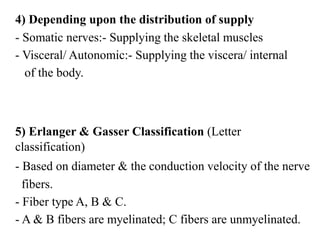 Nerve classification | PPTX
