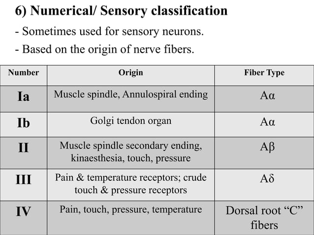 Nerve classification | PPTX