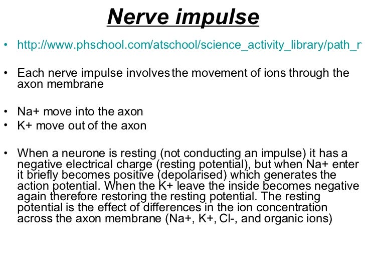 Nerve Impulse Diagram Untpikapps