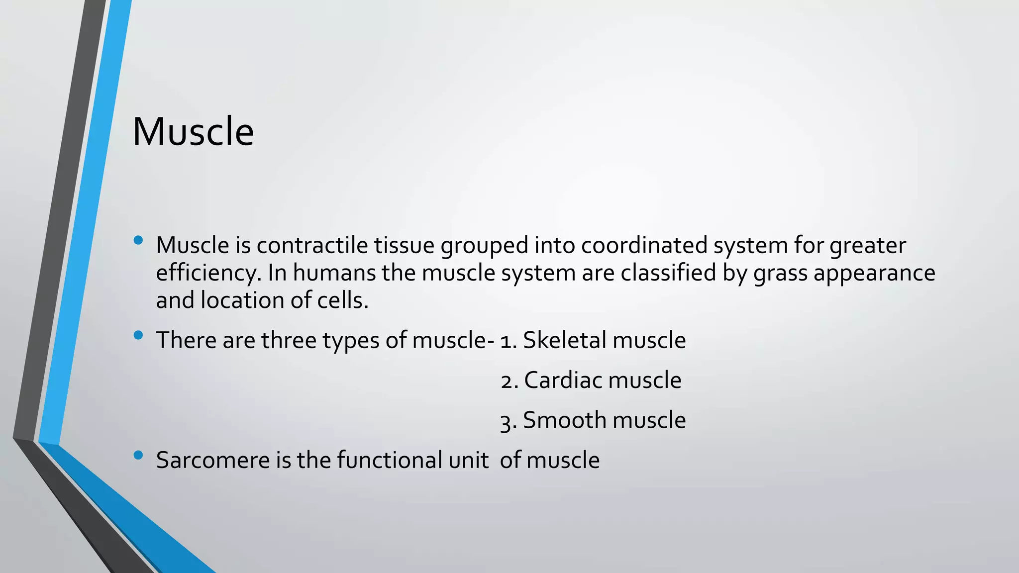 Nerve muscle physiology | PPTX