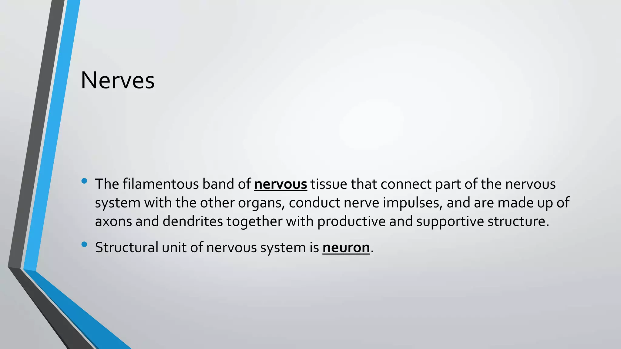 Nerve muscle physiology | PPTX