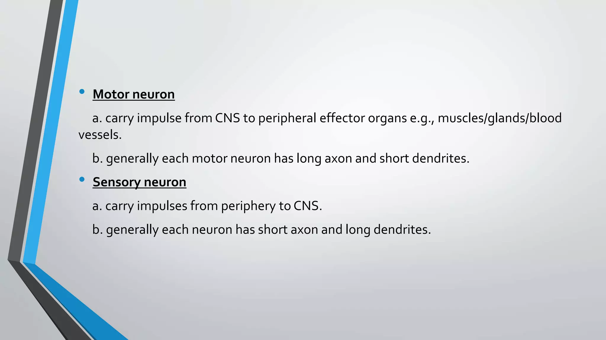 Nerve muscle physiology | PPTX