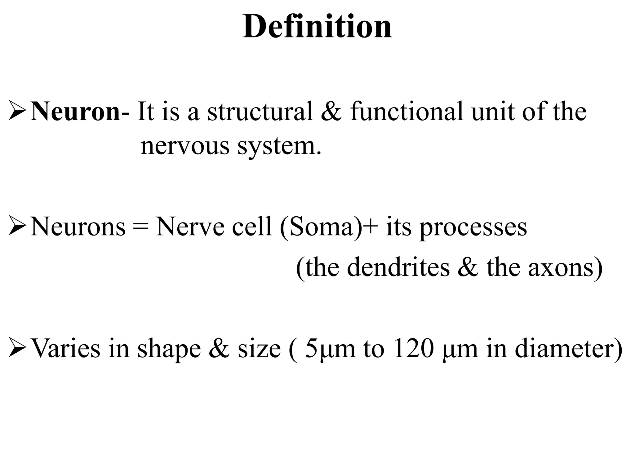 Nerve structure- Physioanatomy | PPTX