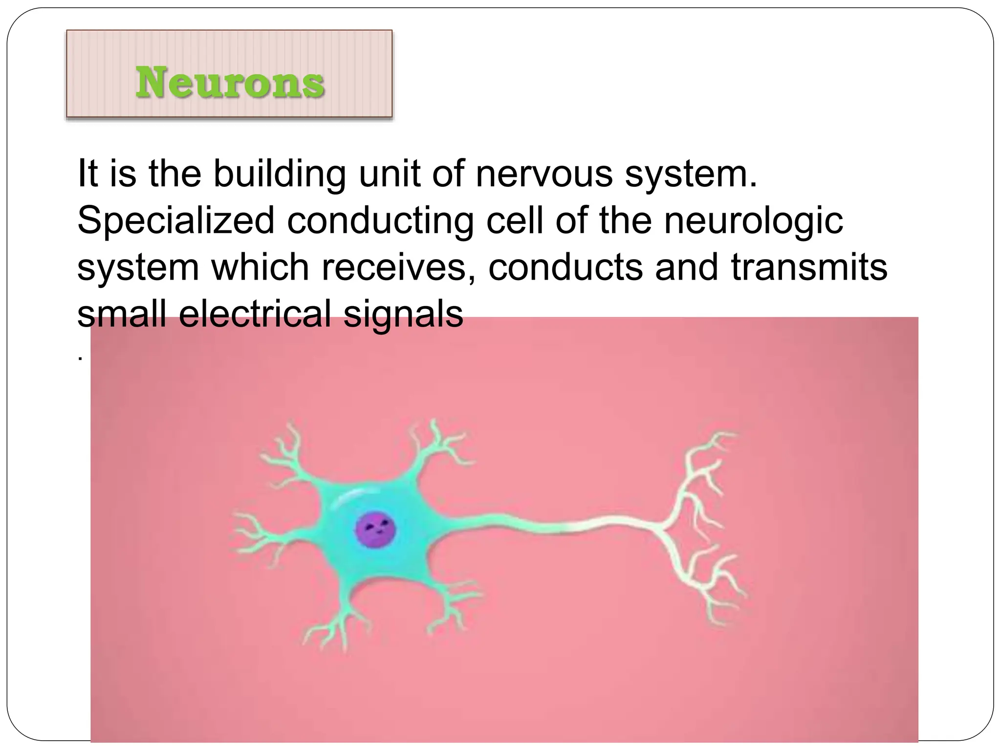 2-Motor Examination reflexes practical.pptx