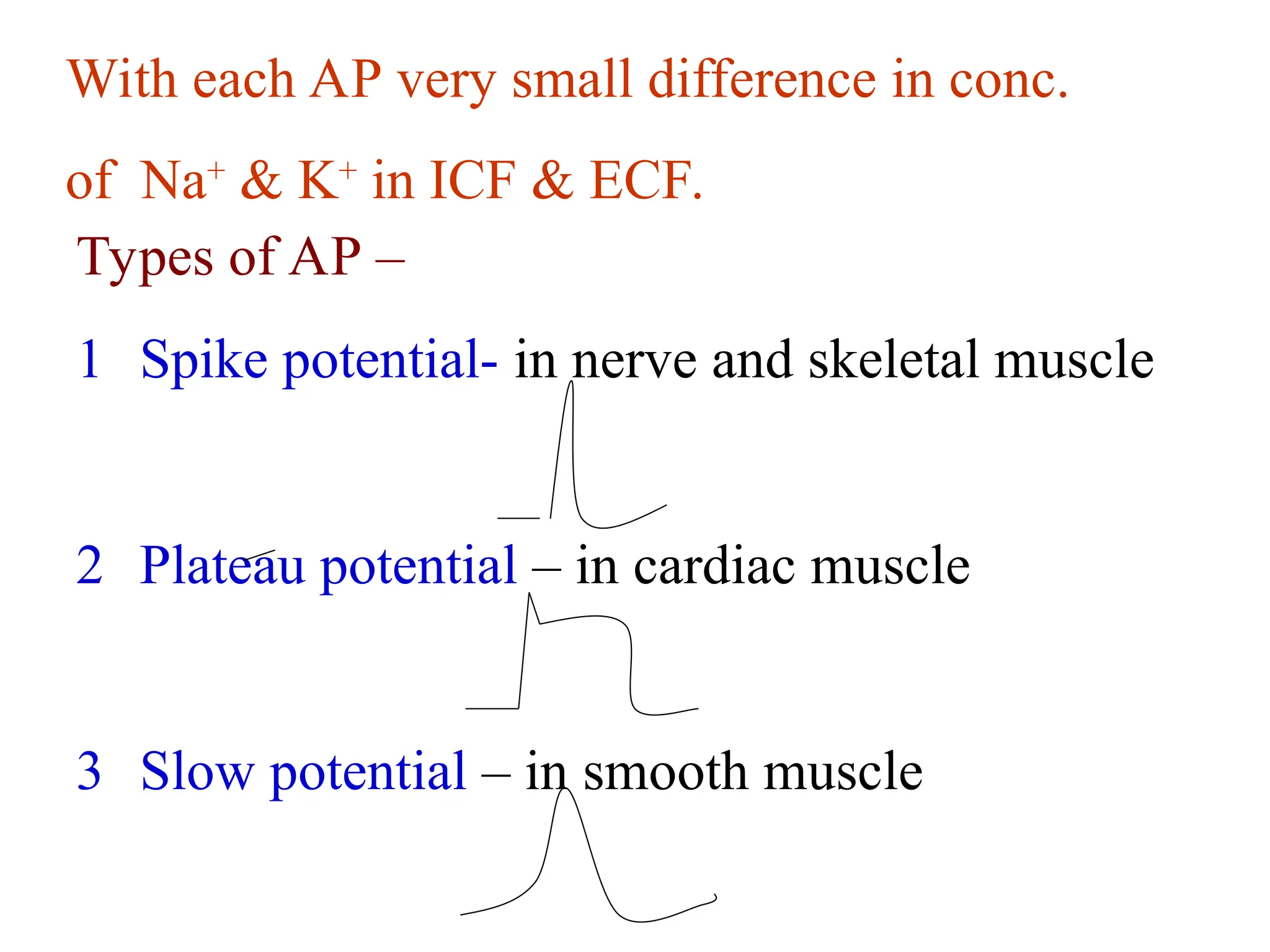 nerve action potential power point presentation | PPT