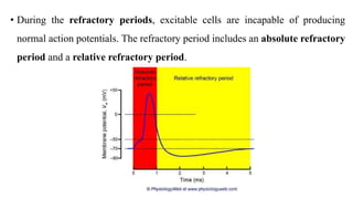 Nerve Action Potential (1).pptx