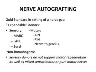 Νευρικά Αλλομοσχεύματα- Nerve allografts | PPT