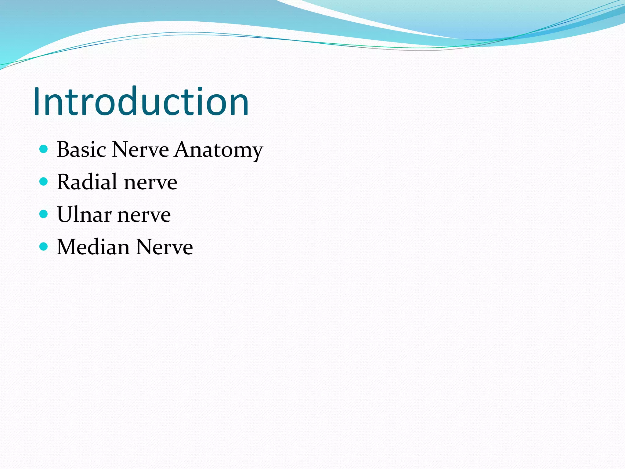 Nerve anatomy | PPTX