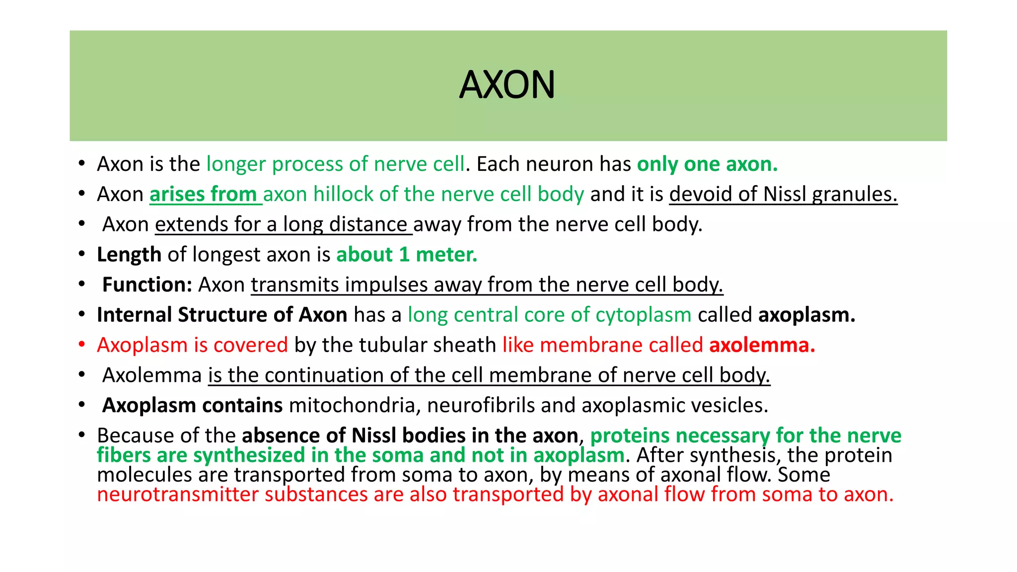 Nerve and muscle | PPTX