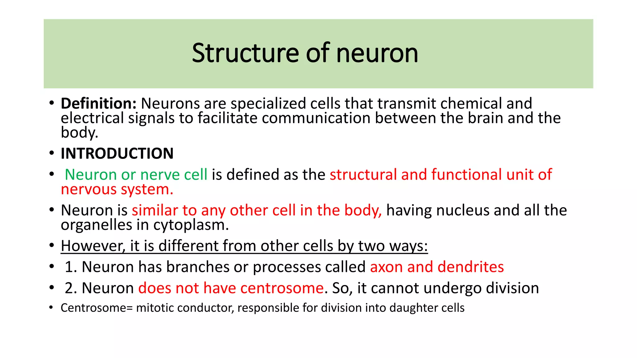 Nerve and muscle | PPTX