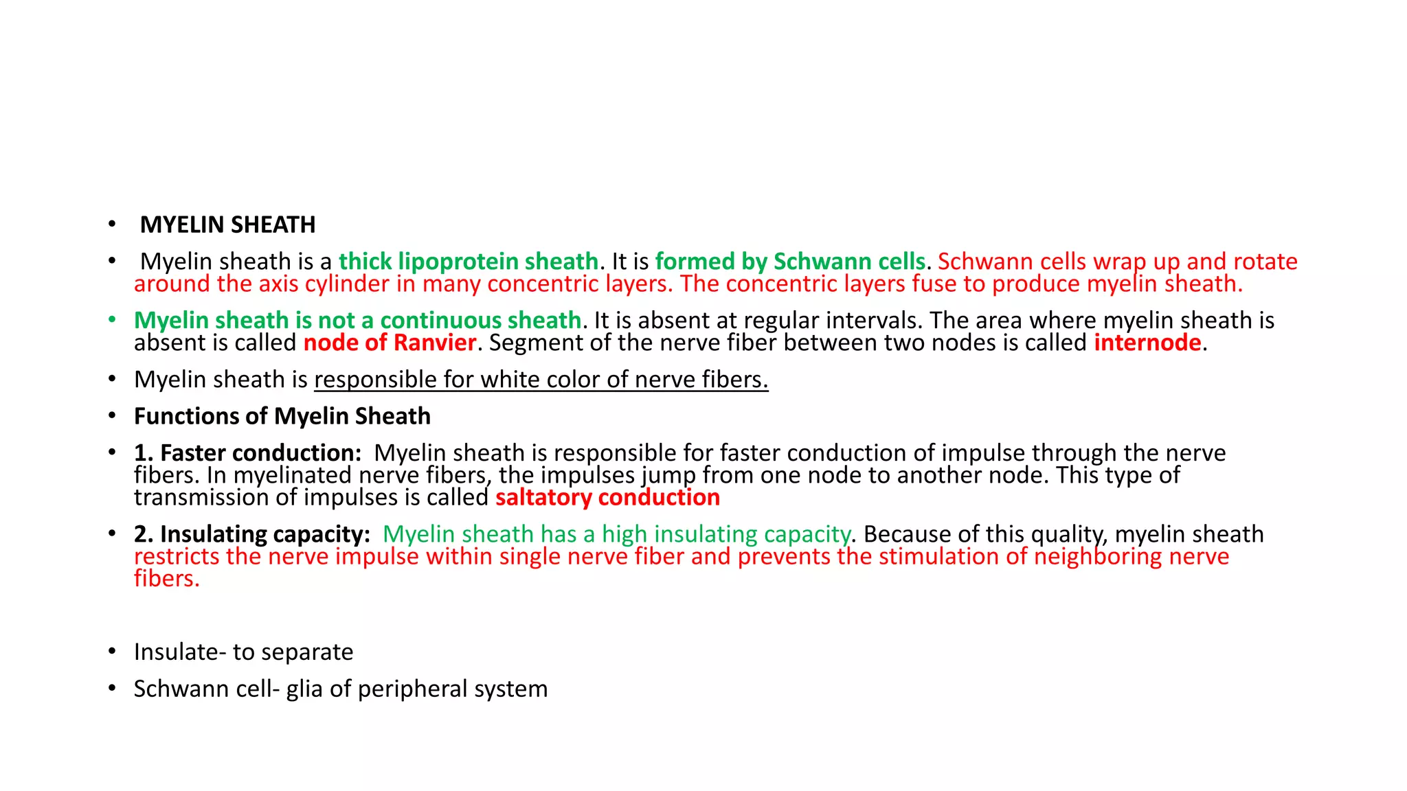 Nerve and muscle | PPTX