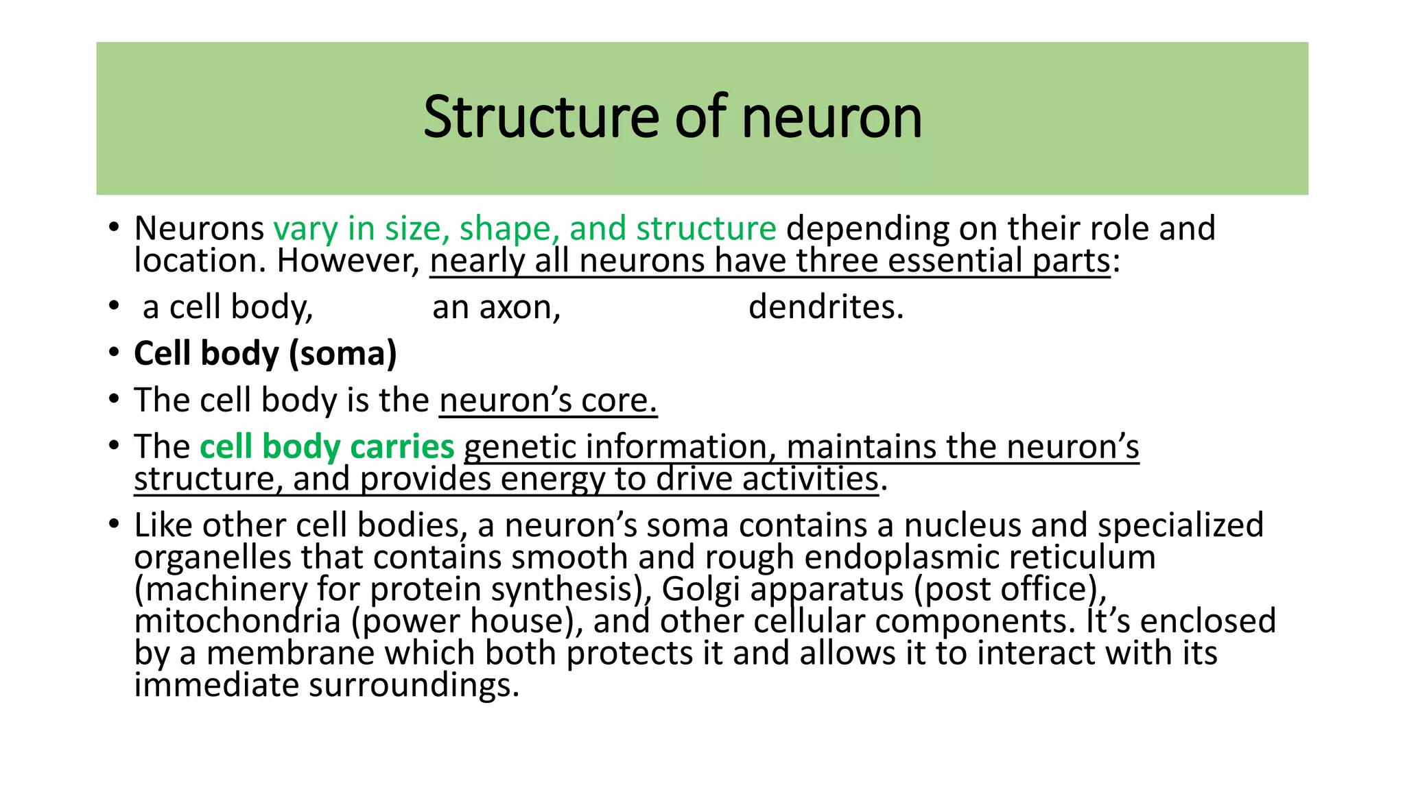 Nerve and muscle | PPTX