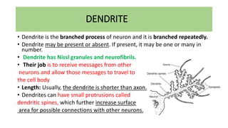 Nerve and muscle | PPTX | Brain and Nervous System Disorders | Diseases ...