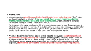 Nerve and muscle | PPTX