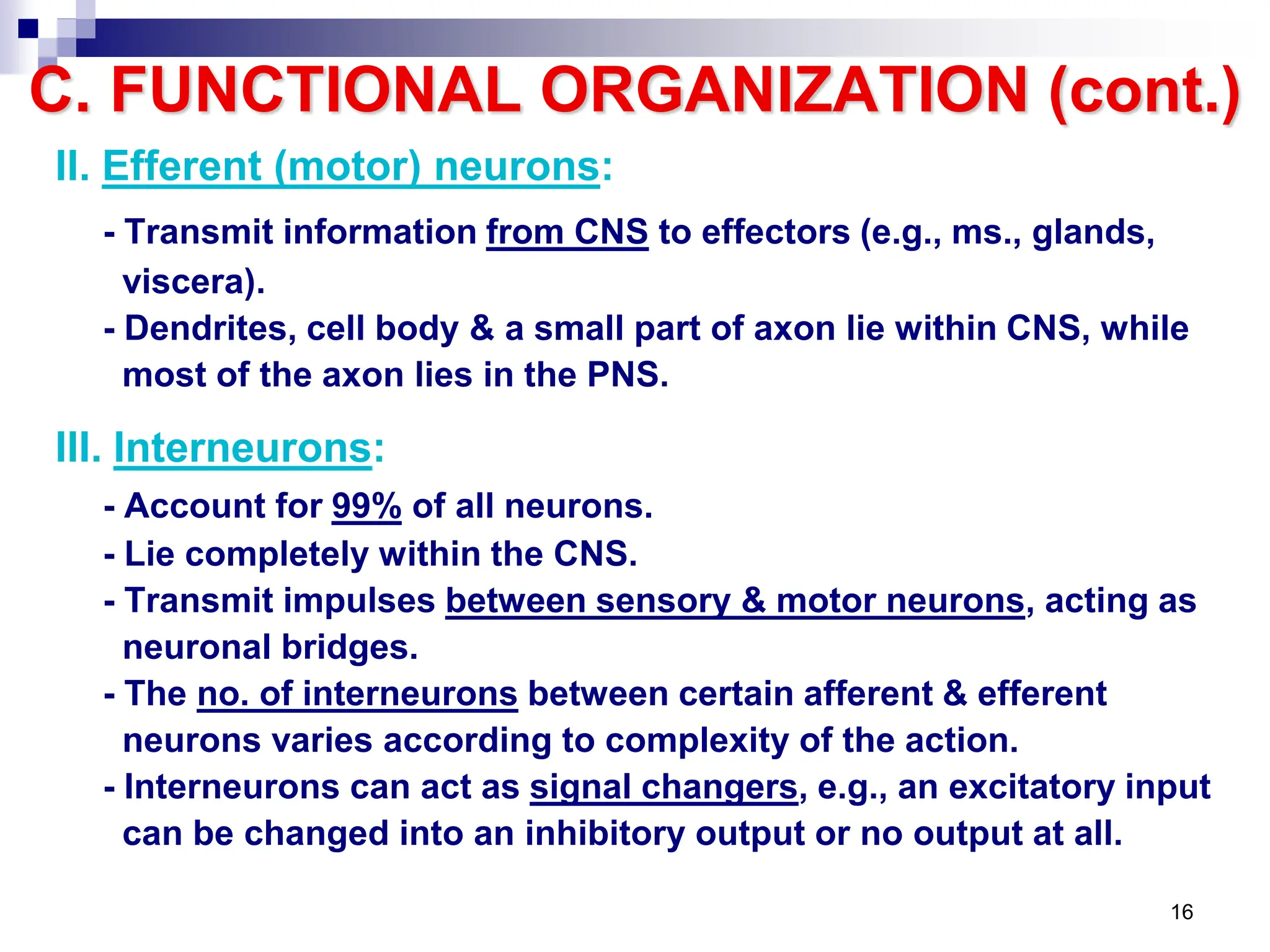 nerve and muscle.ppt