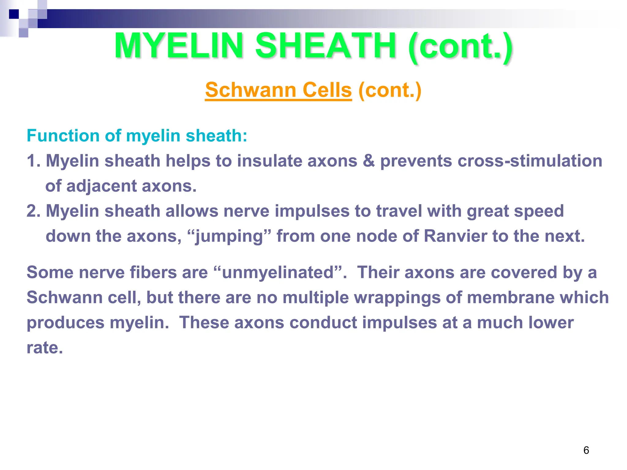 nerve and muscle.ppt