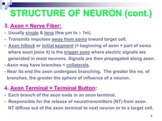 nerve and muscle.ppt | Brain and Nervous System Disorders | Diseases ...