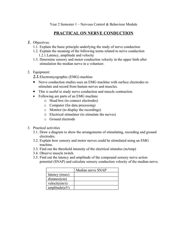 Practical Handout: Nerve conduction | DOC | Brain and Nervous System ...