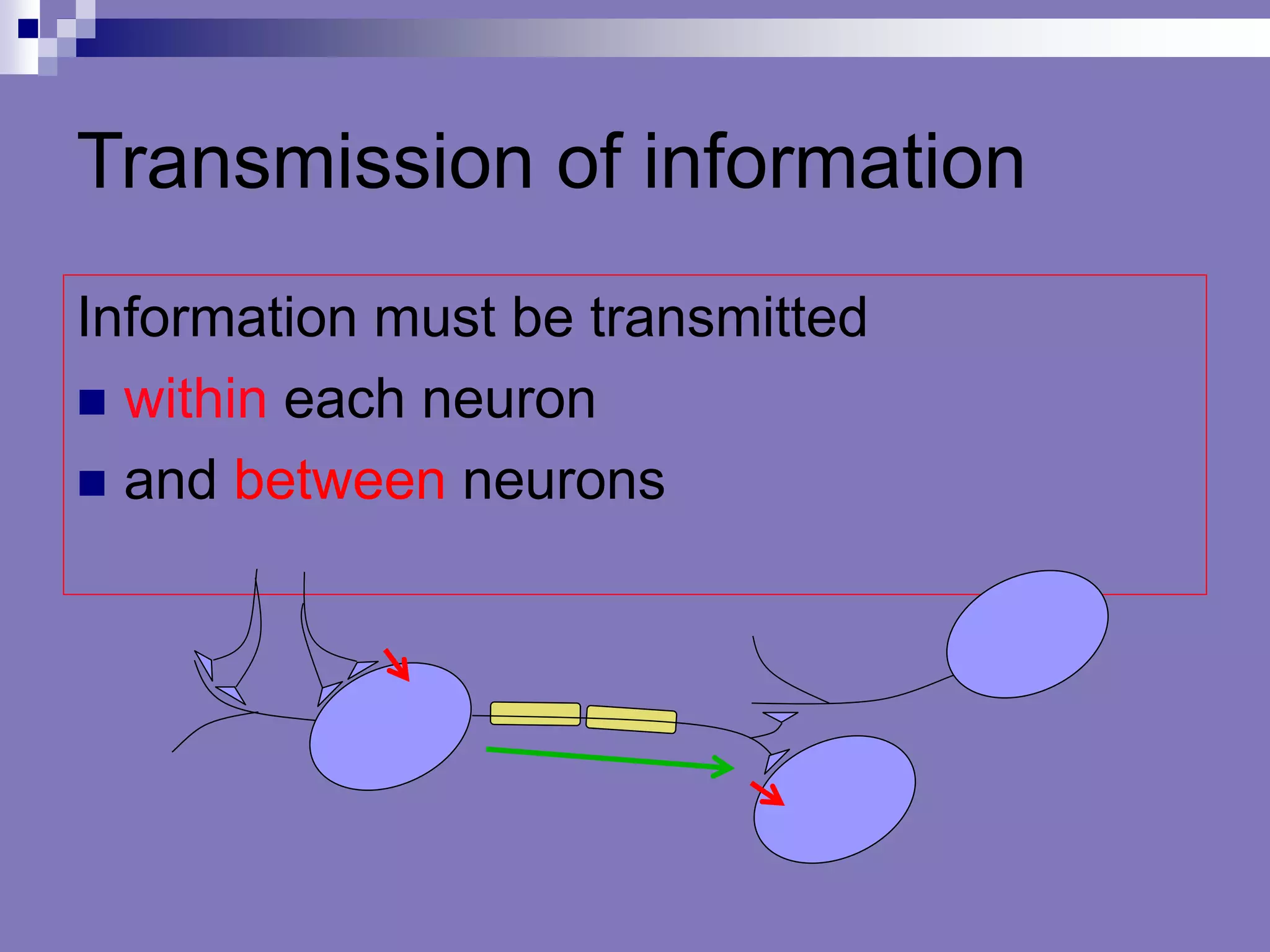 Nerve and muscle physiology .ppt