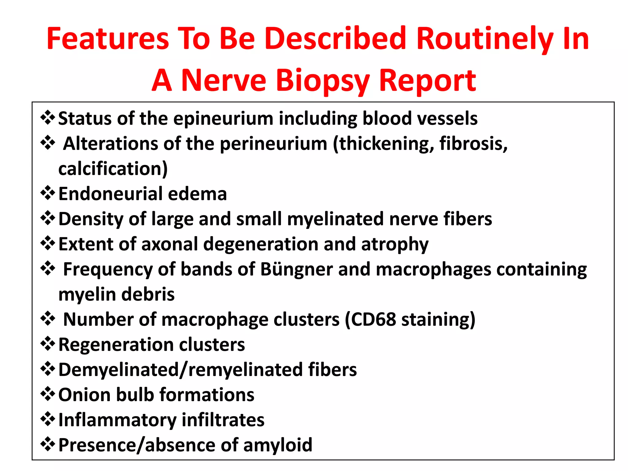 Nerve biopsy | PPTX