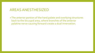 nerve blcks 2.pptx ppsa nasopalatine nerve | PPTX