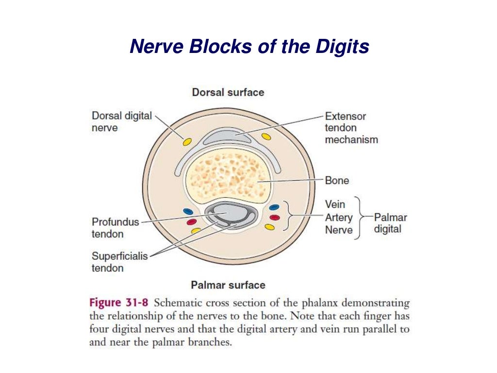 Nerve block