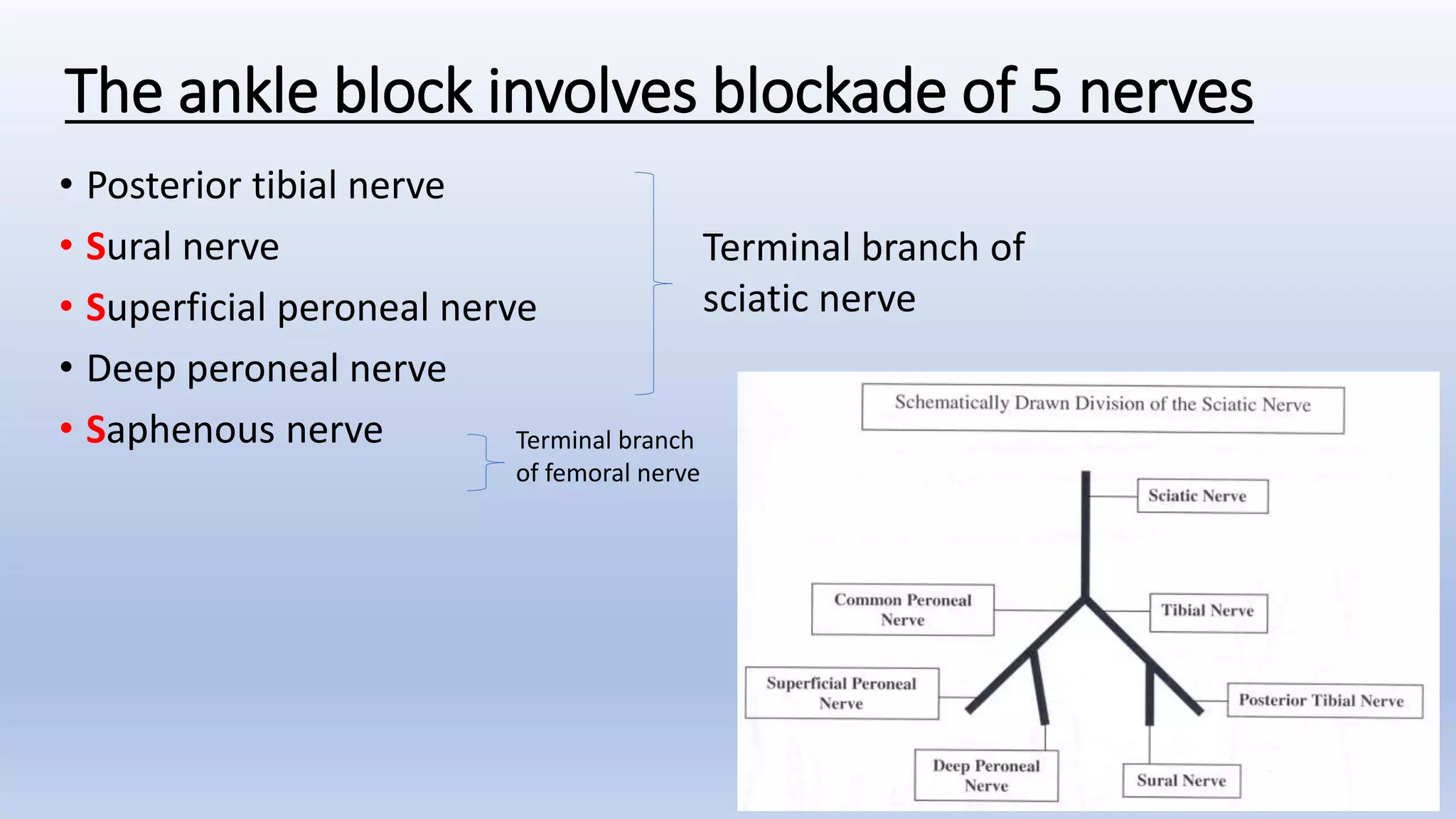 Peripheral Nerve block(ankle block,wrist block, digital block) | PPTX