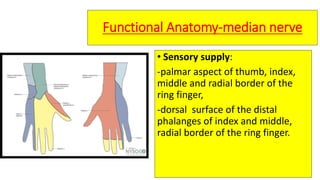 Peripheral Nerve block(ankle block,wrist block, digital block) | PPTX ...