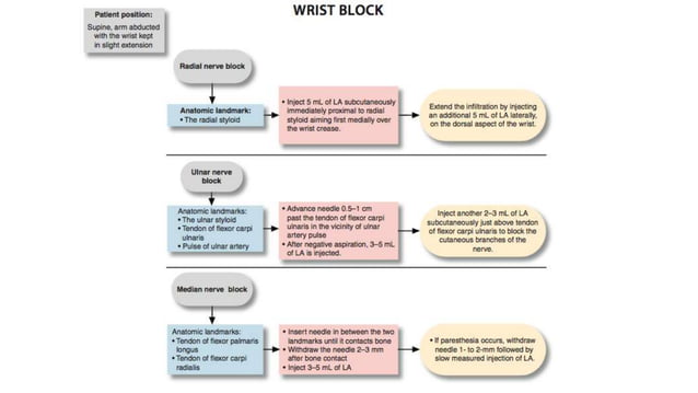 Peripheral Nerve block(ankle block,wrist block, digital block) | PPTX ...