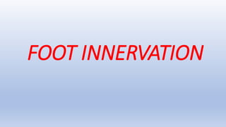 Peripheral Nerve block(ankle block,wrist block, digital block) | PPTX