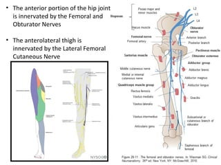 Nerve Block for Hip Arthrsocopy: Rio de Janeiro 2014 | PPT