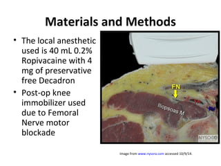 Nerve Block for Hip Arthrsocopy: Rio de Janeiro 2014 | PPT
