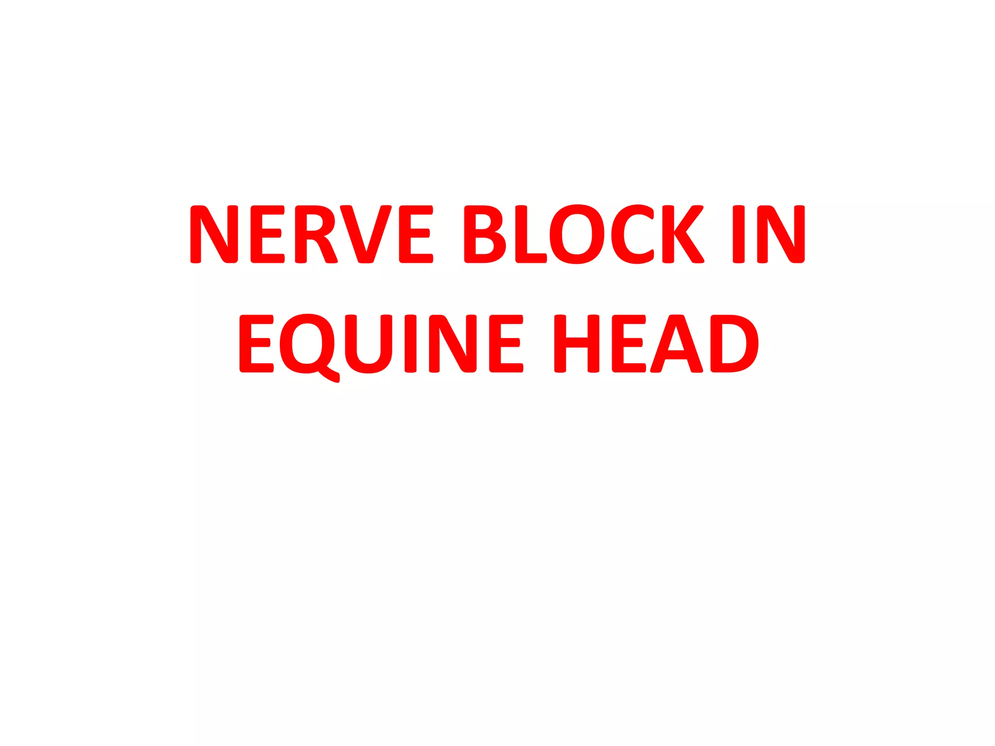 NERVE BLOCK IN EQUINE HEAD | PPTX