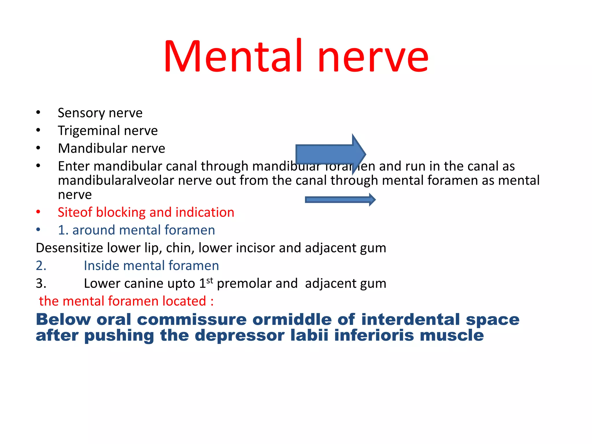 NERVE BLOCK IN EQUINE HEAD | PPTX