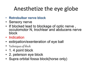 NERVE BLOCK IN EQUINE HEAD | PPTX
