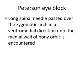 NERVE BLOCK IN EQUINE HEAD | PPTX