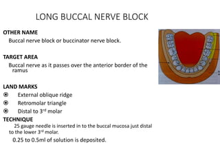 Nerve blocks | PPT