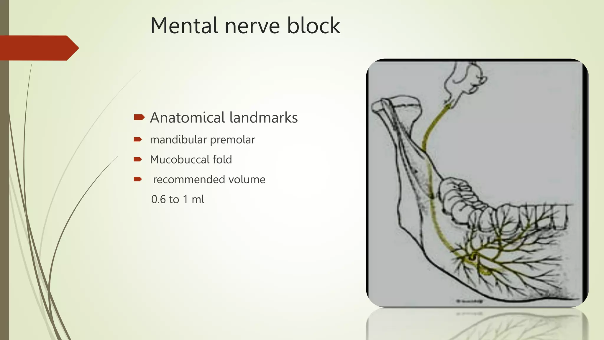 NERVE BLOCKS AND ANATOMICAL LANDMARKS IN PEDIATRIC DENTISTRY.pptx