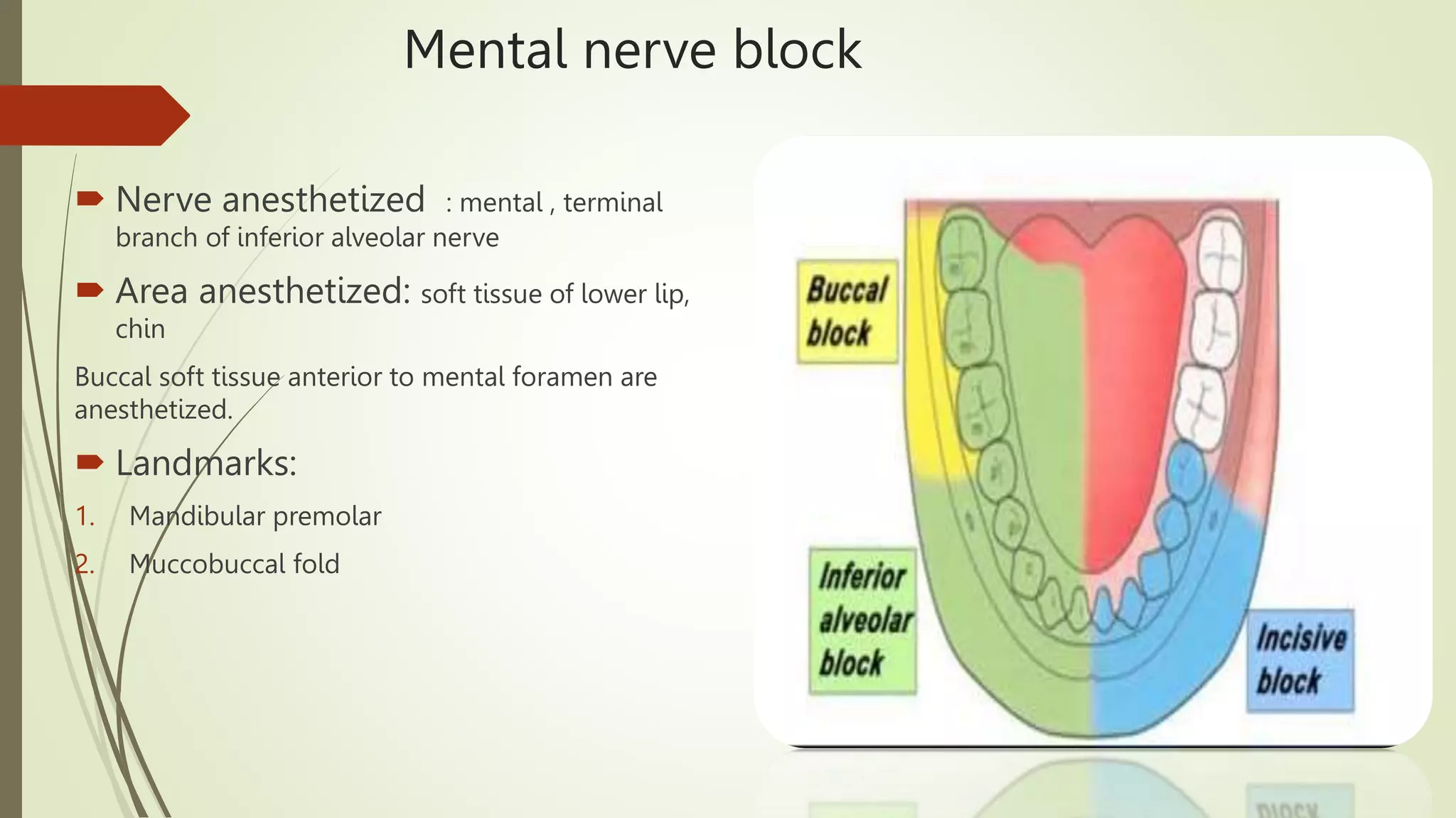 Nerve Blocks And Anatomical Landmarks In Pediatric Dentistrypptx