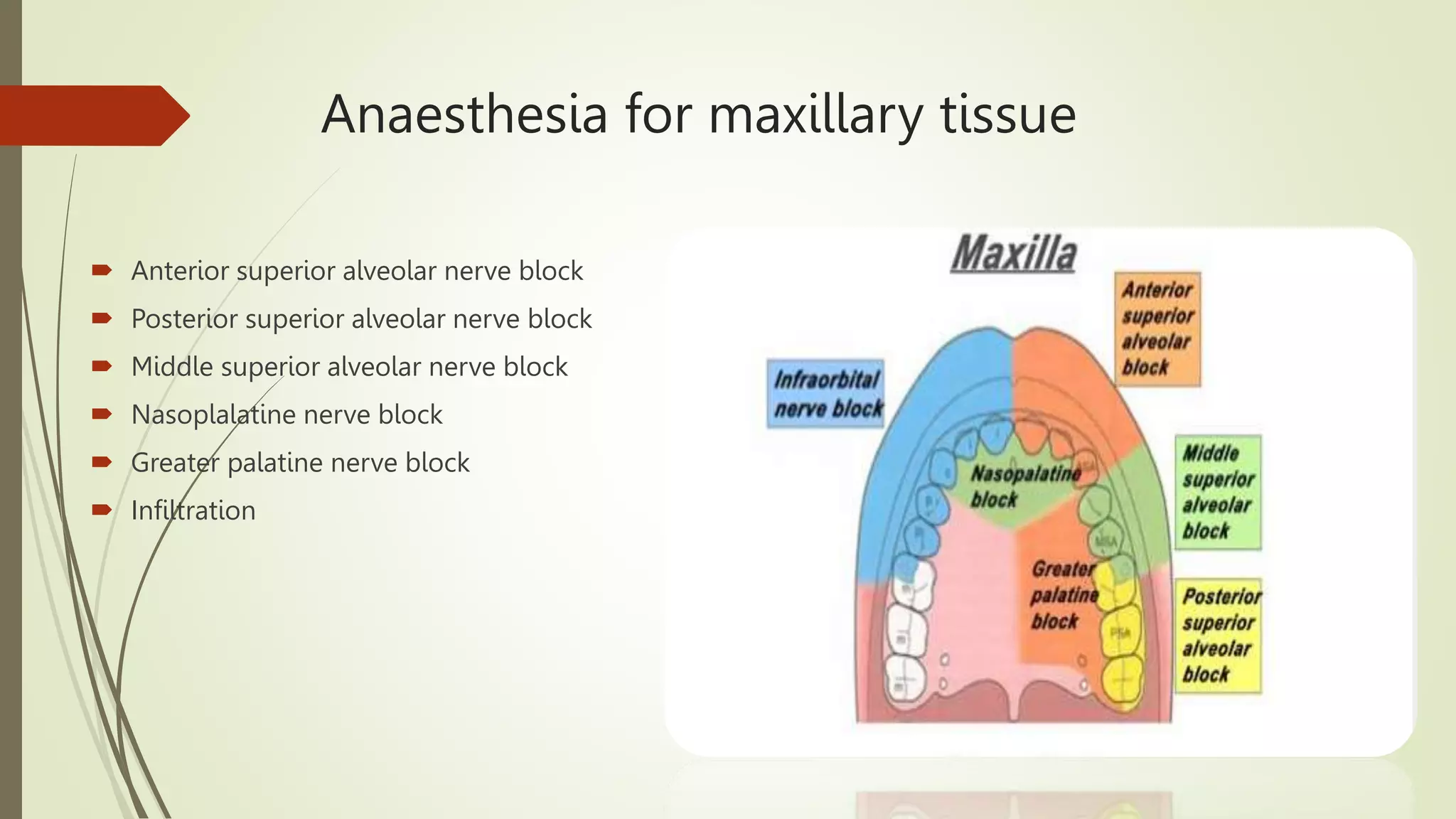 NERVE BLOCKS AND ANATOMICAL LANDMARKS IN PEDIATRIC DENTISTRY.pptx