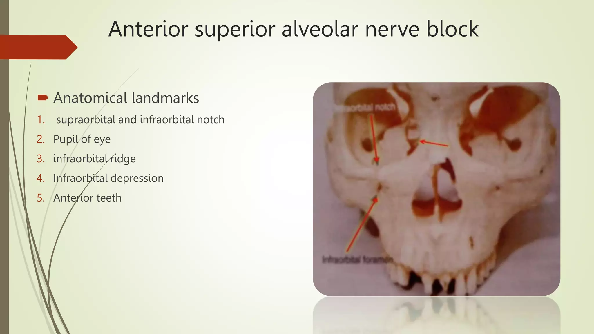 NERVE BLOCKS AND ANATOMICAL LANDMARKS IN PEDIATRIC DENTISTRY.pptx
