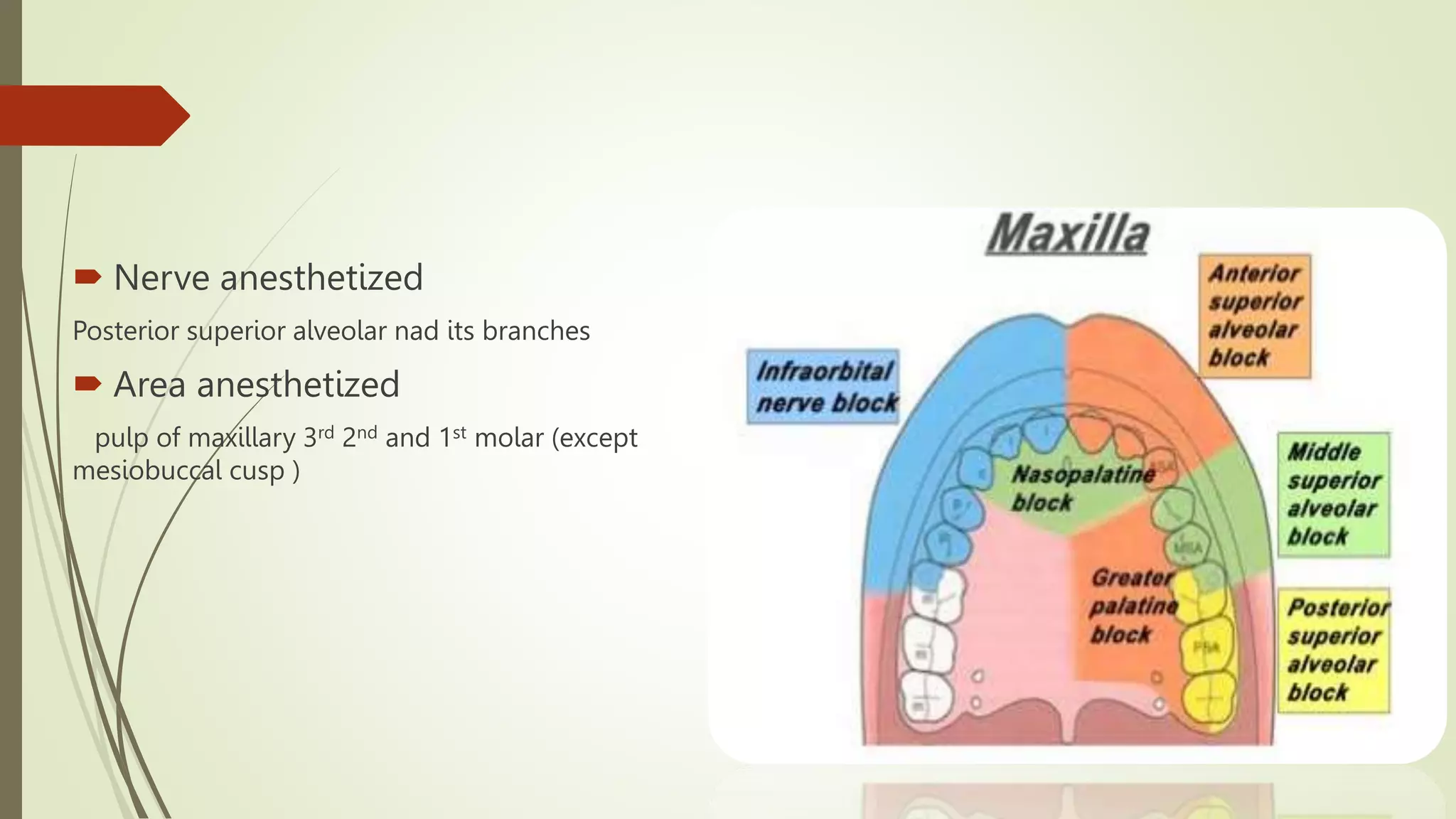NERVE BLOCKS AND ANATOMICAL LANDMARKS IN PEDIATRIC DENTISTRY.pptx