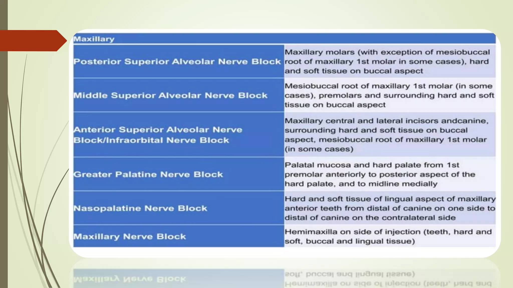 NERVE BLOCKS AND ANATOMICAL LANDMARKS IN PEDIATRIC DENTISTRY.pptx