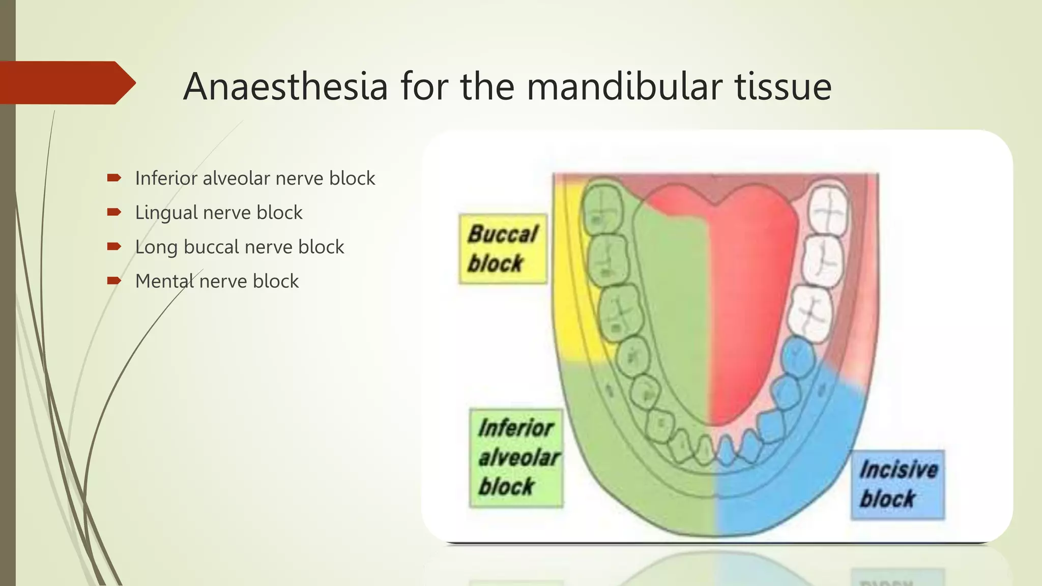 NERVE BLOCKS AND ANATOMICAL LANDMARKS IN PEDIATRIC DENTISTRY.pptx