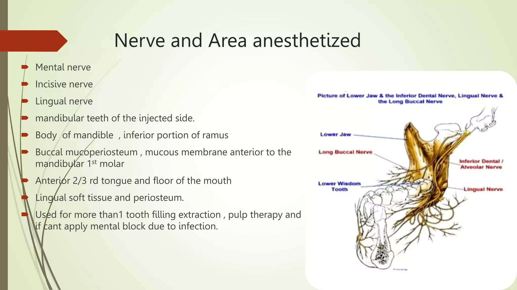 NERVE BLOCKS AND ANATOMICAL LANDMARKS IN PEDIATRIC DENTISTRY.pptx